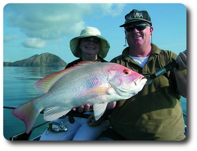 Largemouth Nannygai — Explore Cooktown and Cape York